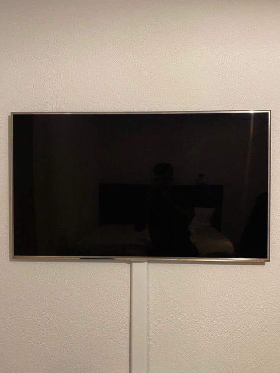 Samsung UE46D8000 | Kaufen auf Ricardo