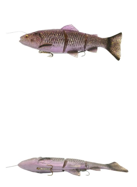 Savage Gear Line Thru Trout Limited 30cm MS (Neu und originalverpackt ...