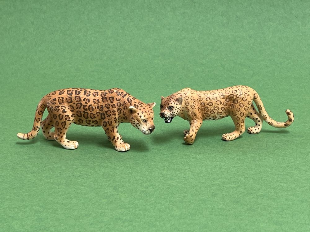 Schleich Leopard und Jaguar | Kaufen auf Ricardo