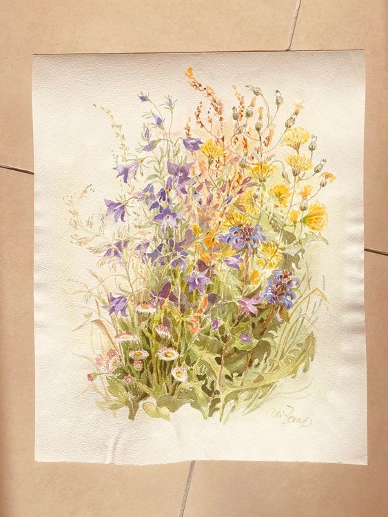 Aquarell Wildblumen Wiesenblumen Signiert Frühling Sommer (Gebraucht) in Oberhasli für CHF 20 ...