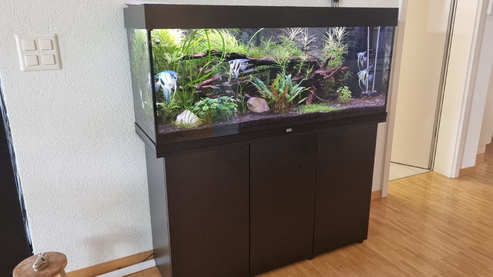 Aquarium JUWEL RIO 240 mit Juwel Control | Kaufen auf Ricardo