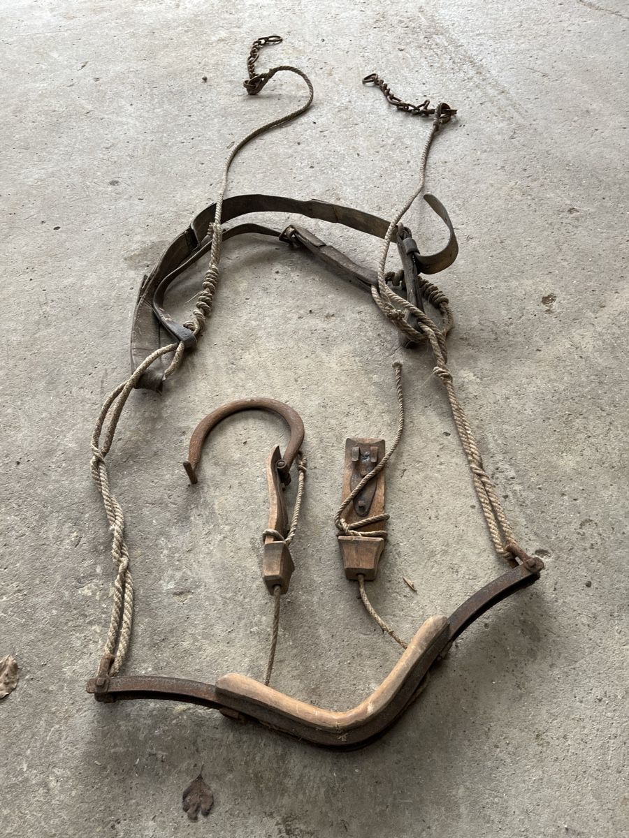 altes Pferde oder Pony Geschirr mit Joch und vielen Beschläg (Gebraucht ...