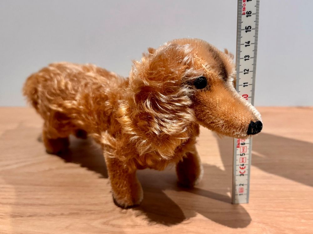 Niedlicher Steiff Dackel Waldi 4140/17 sucht neues Zuhause! (Gebraucht ...