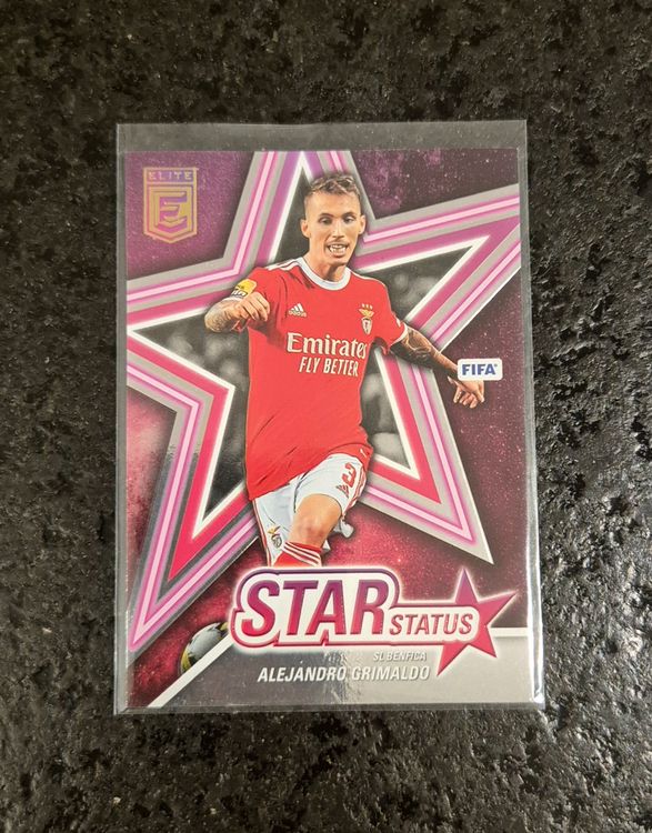 Alejandro Grimaldo - Benfica - Panini (Neu (gemäss Beschreibung)) in ...