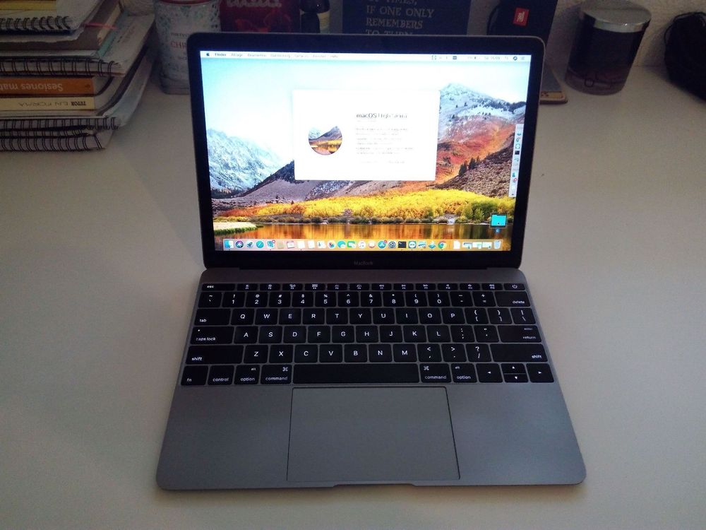Macbook 12 Retina, 2016, 512GB, Intel M5 (Gebraucht) in Zürich für CHF ...