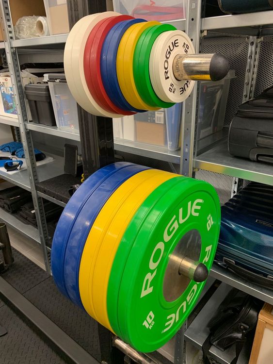 ROGUE 90KG Color Training Plate Set + 25KG Change Plate Set | Kaufen ...