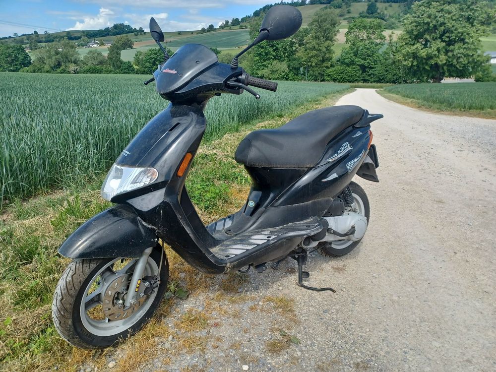 Piaggio Diesis 50 ccm 45 km/h Roller Scooter gelbe Nummer | Kaufen auf Ricardo