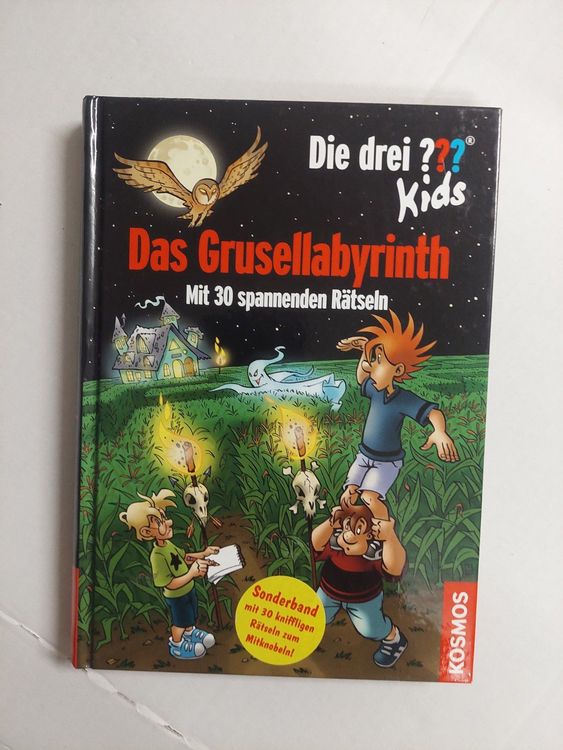 Die drei ??? Fragezeichen Kids 'Grusellabyrinth' mit Rätseln (Gebraucht) in Oberwil b. Zug für ...