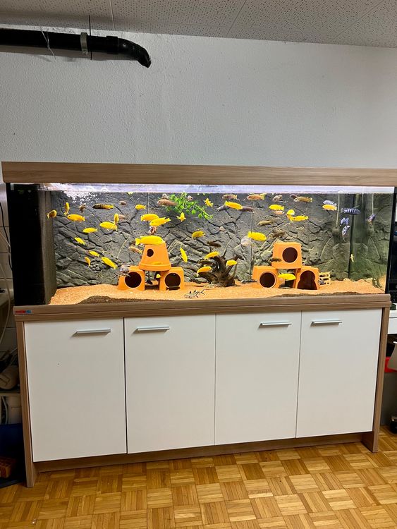 Eheim Aquarium 650 liter Komplett | Kaufen auf Ricardo