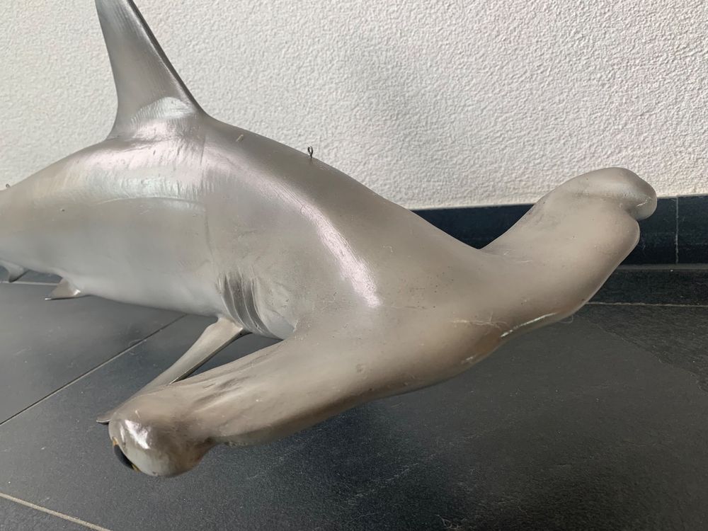 Hammer Hai Fisch Model - Einzelanfertigung (Neu (gemäss Beschreibung ...