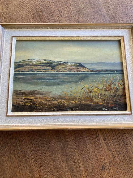 Max Clément, Gemälde «Murtensee, Vully», Format 45 x 37 cm (Gebraucht ...