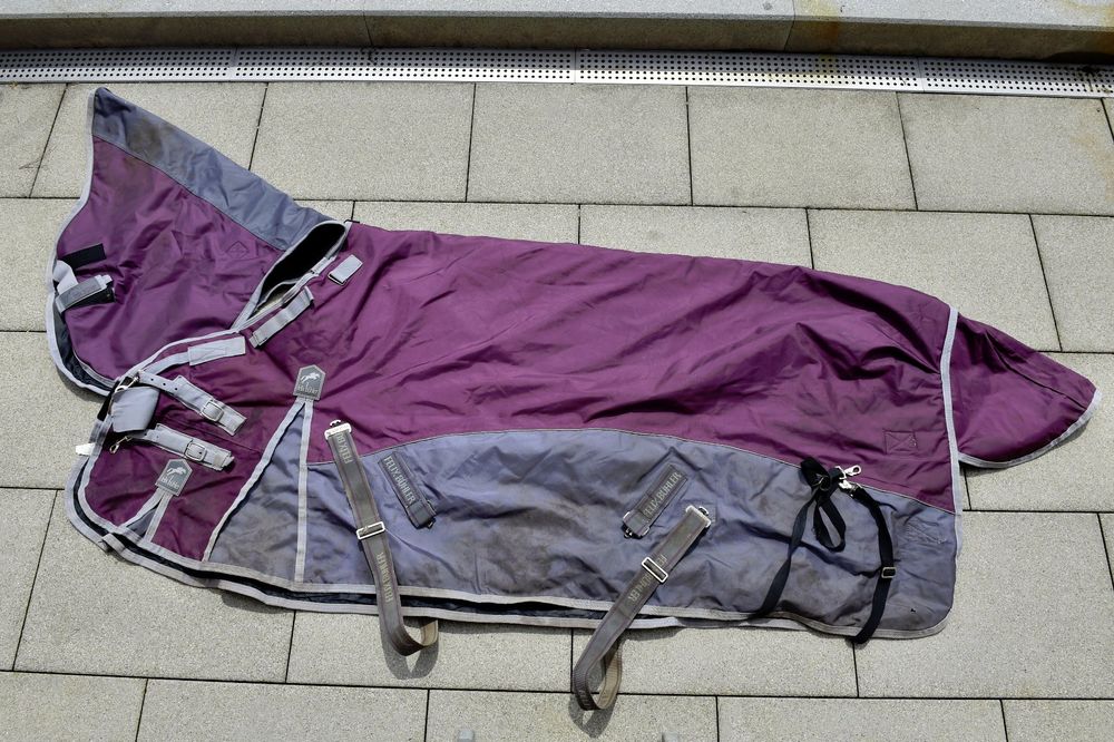 Felix Bühler Winterdecke Perfect Fit 300g Gr. 145cm (Gebraucht) in ...