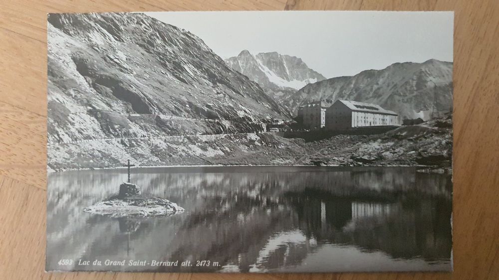 AK CP lac du Grand Saint-Bernard Grosser St.Bernhard ungel. (Gebraucht ...