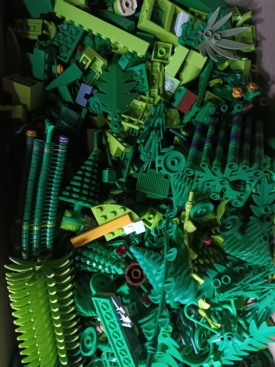 Kiste grüne Legos,meist Pflanzen (Gebraucht) in Jona für CHF 41 – mit Lieferung auf Ricardo kaufen