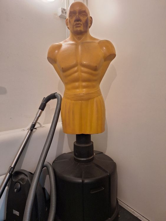 Boxing Trainer | Kaufen auf Ricardo