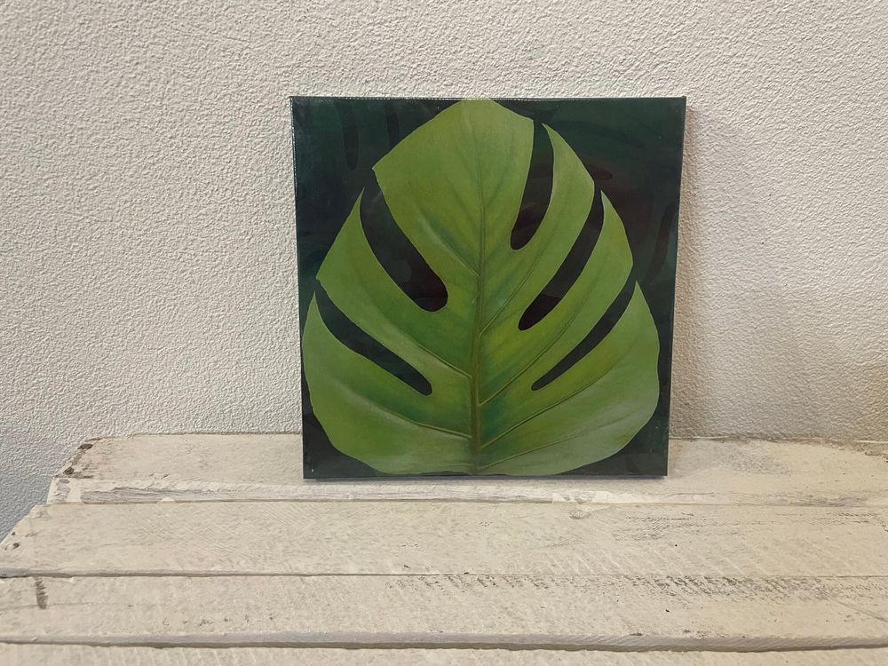 Bild mit grünem Blatt, 20 x 20 cm (Neu und originalverpackt) in Embrach ...