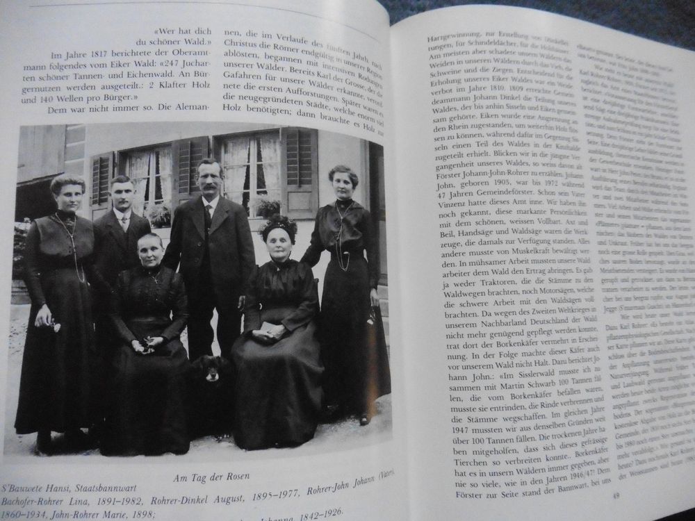 Eiken,AG,Frick,antike Fotos,Ochsen-Gespann,Geschichte,Leute (Gebraucht ...