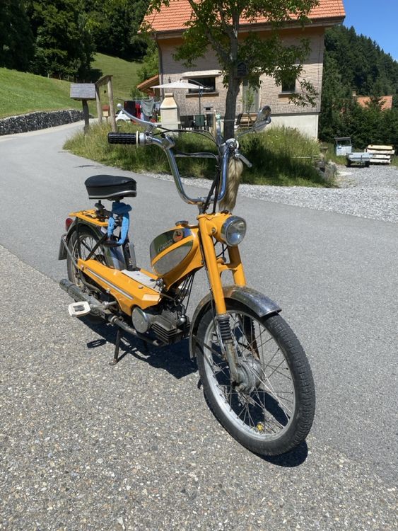 Pony 504 s (Gebraucht) in Rehetobel für CHF 3000 – nur Abholung auf Ricardo kaufen