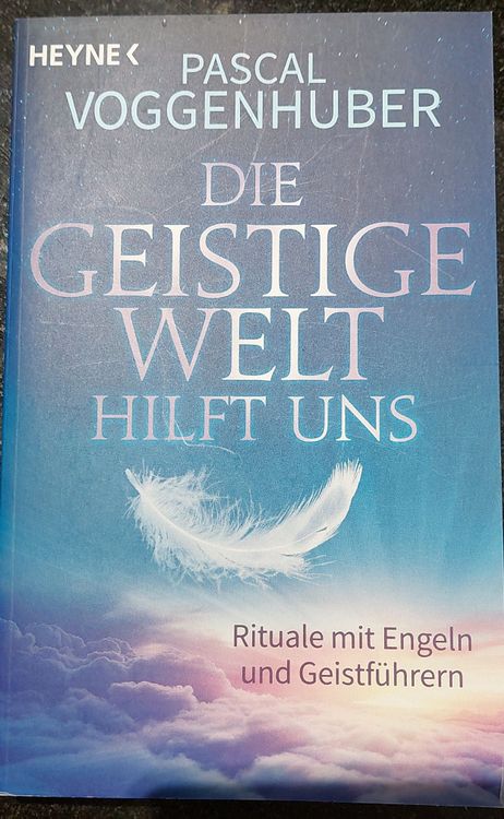 Die geistige Welt hilft uns - Pascal Voggenhuber (Neu (gemäss Beschreibung)) in Zizers für CHF 8 ...