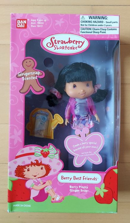 Neue Strawberry Shortcake Puppe Berry Best Friends (Neu und ...