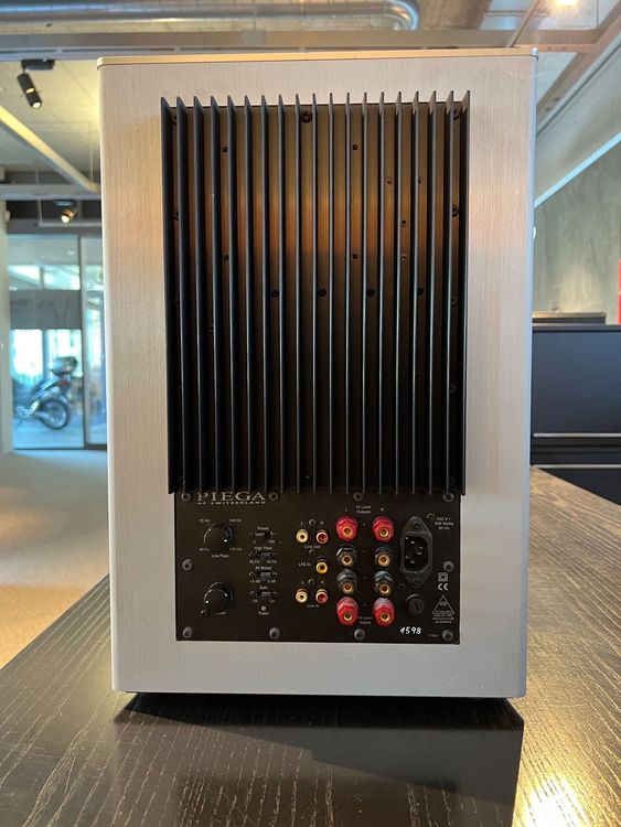 Piega Subwoofer P Sub1 | Kaufen auf Ricardo