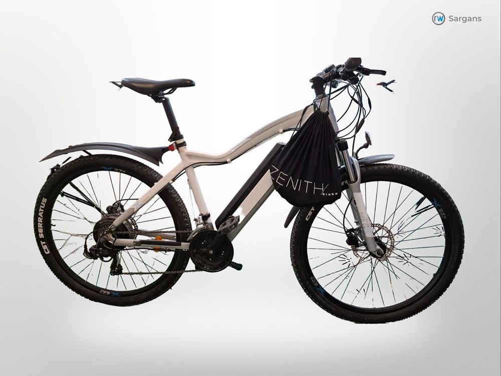ZENITH E-Bike Terra X (Gebraucht) in Sargans für CHF 340 – nur Abholung auf Ricardo kaufen