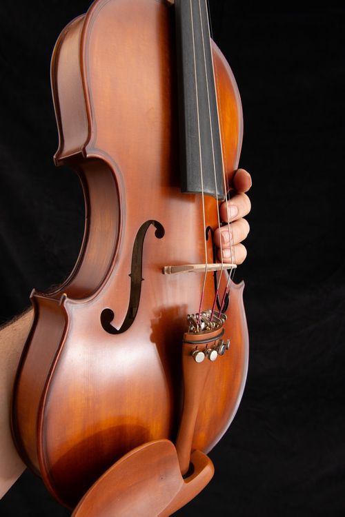 Studenten Bratsche Viola - 3/4 oder 4/4 (?) Körper 35.5cm | Kaufen auf Ricardo