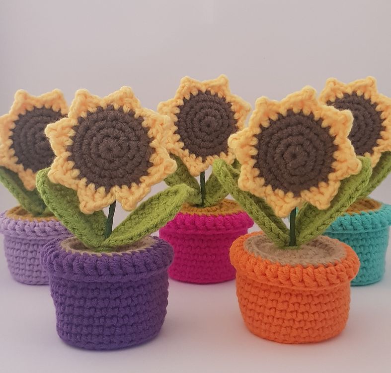Sonnenblumen 🌻 (Neu und originalverpackt) in Frauenfeld für CHF 8 – mit ...