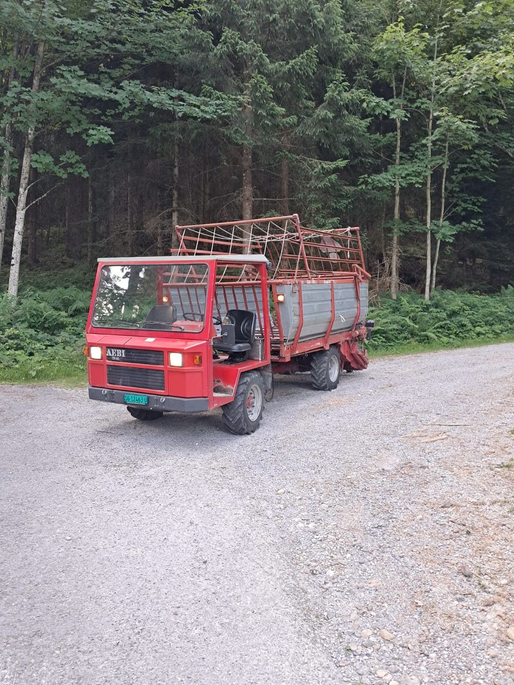 Transporter Aebi TP 45 (Gebraucht) in Ricken SG für CHF 8900 – nur ...