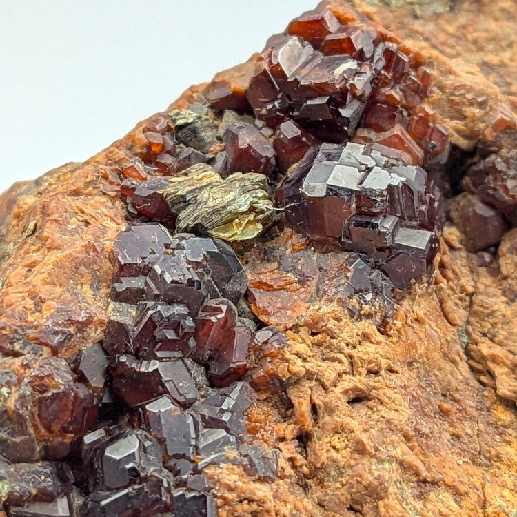 HESSONIT Roter GRANAT mit CLINOCHLOR, Italien (Neu (gemäss Beschreibung)) in Balerna für CHF 35 ...