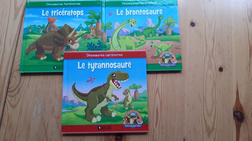 3 Livres Dinosaures Enfant (D'occasion) à Neuchâtel pour CHF 6 – avec ...