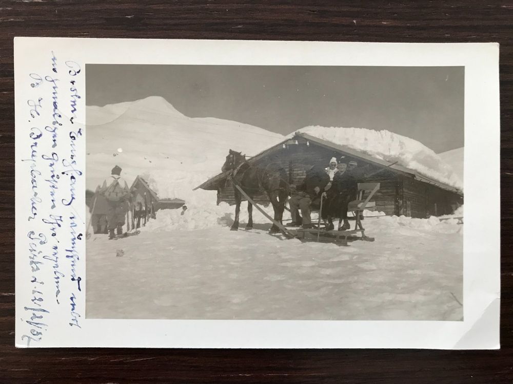 ECHTFOTOKARTE Peist (?) SPEZIELLER PFERDESCHLITTEN IM SCHNEE (Gebraucht ...