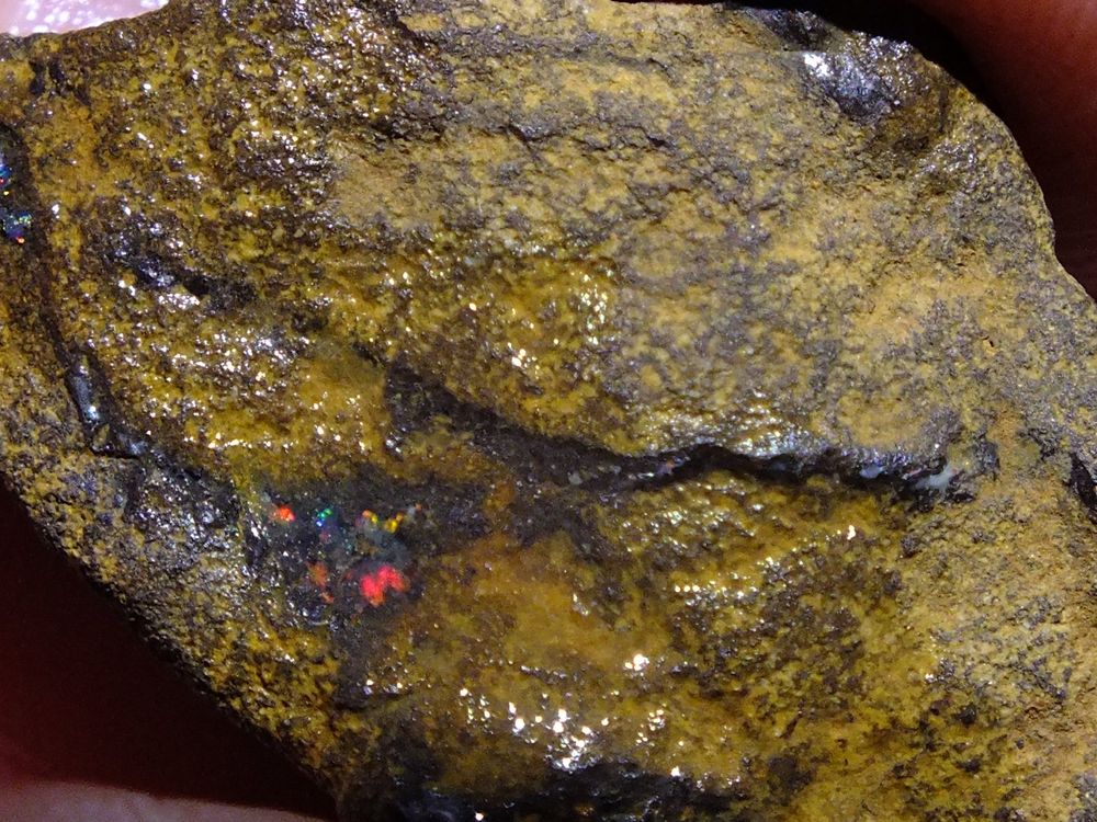 BOULDER ROH OPAL 22.20 Karat Gebot 1.- Elektrisch Rot feuer (Neu und ...