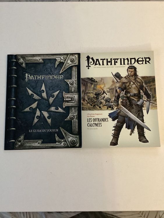 Pathfinder Rise of the Runelords & Le Guide du Joueur | Kaufen auf Ricardo