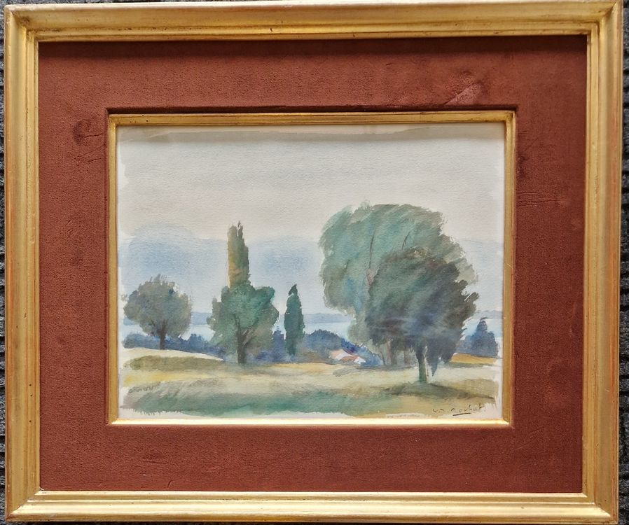 aquarelle de Willy James Rochat (Gebraucht) in für CHF 79 – nur ...