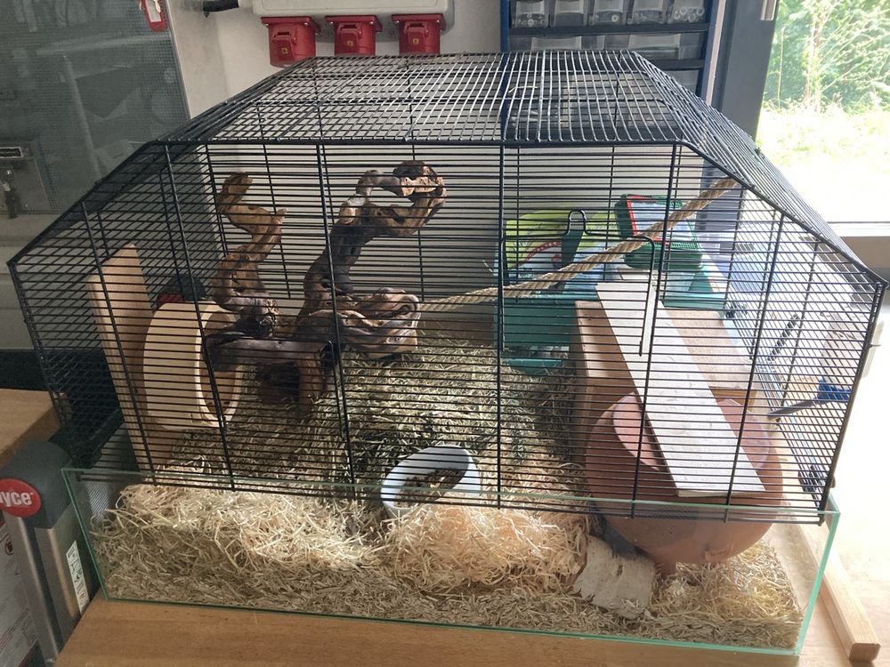 Mäusekäfig Nagerkäfig Figo" 80cm mit Zubehör, Fressschälchen (Gebraucht ...