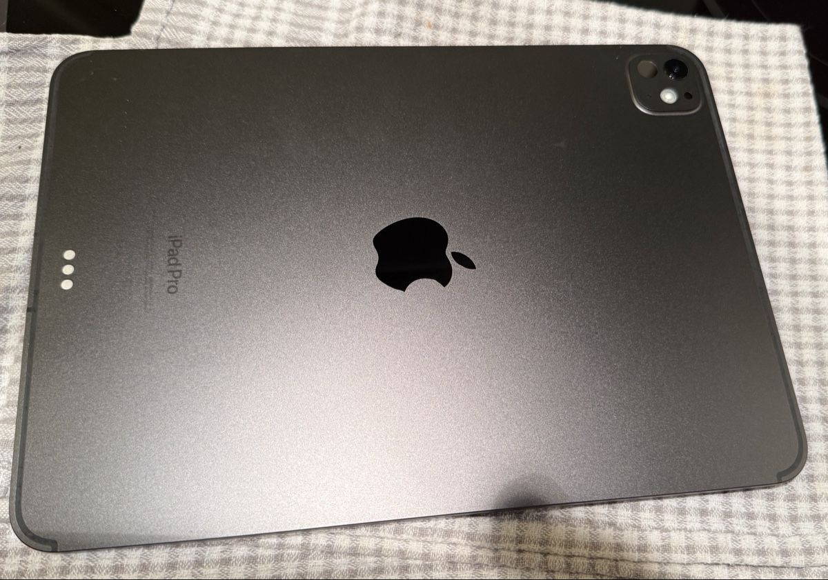 Apple iPad Pro 11" (M4) 256 GB Cellular - wie neu (Gebraucht) in ...