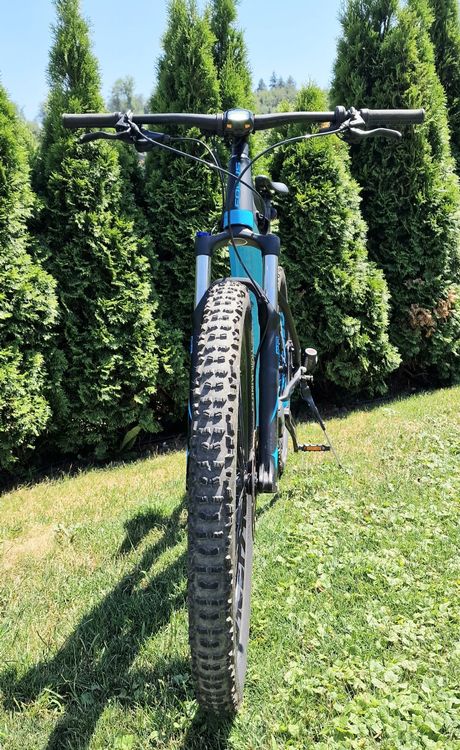 EBike Focus Bold 2 29" Topp Zustand (Gebraucht) in Oftringen für CHF ...