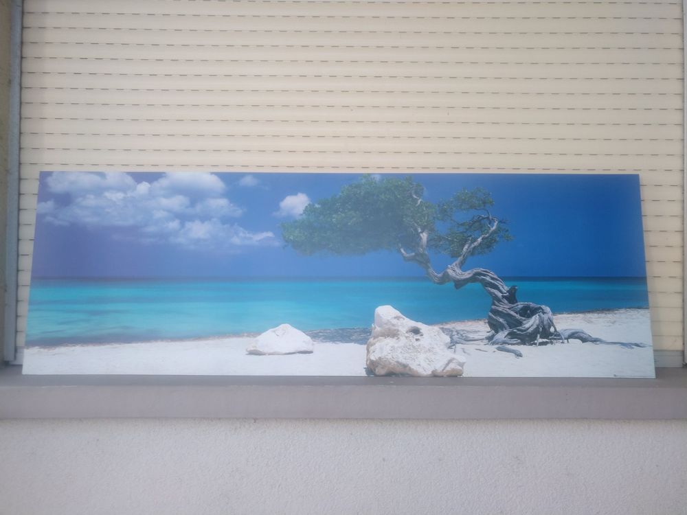 Bild, Meer mit Baum | Kaufen auf Ricardo