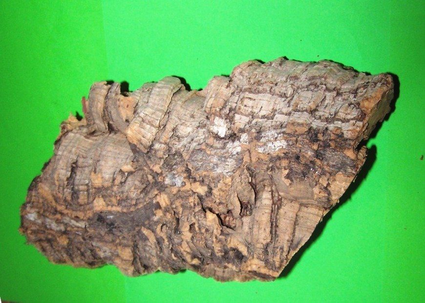 Felsen aus Kork, grosses Stück 20 x 16 cm, realistisch | Kaufen auf Ricardo