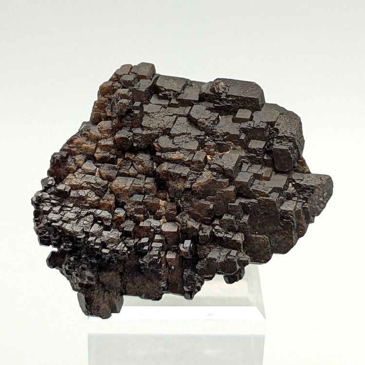 Seltene MELANIT, SCHWARZER GRANAT mit EPIDOT, Mali (Nuovo (secondo la ...