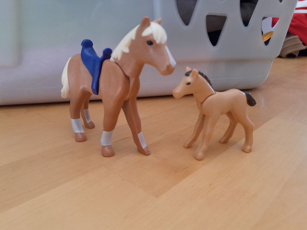 Playmobil - Stute mit Fohlen/jument et poulain (Gebraucht) in Grolley für CHF 5 – mit Lieferung ...