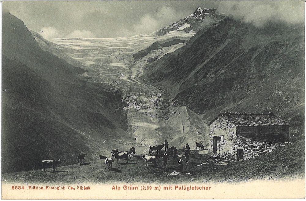 Alte Karte mit Alp Grüm und Palügletscher (GR) (Gebraucht) in Chur für ...