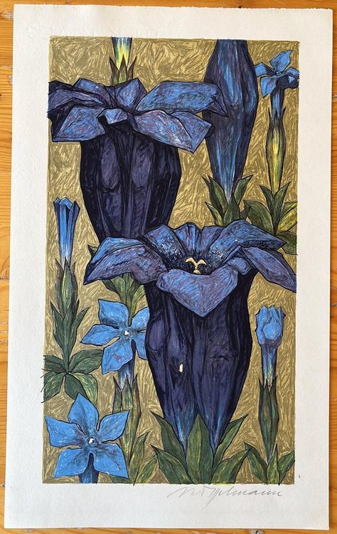 Lithografie Frühlingsenzian von Walter Diggelmann (ID b3863) | Kaufen ...