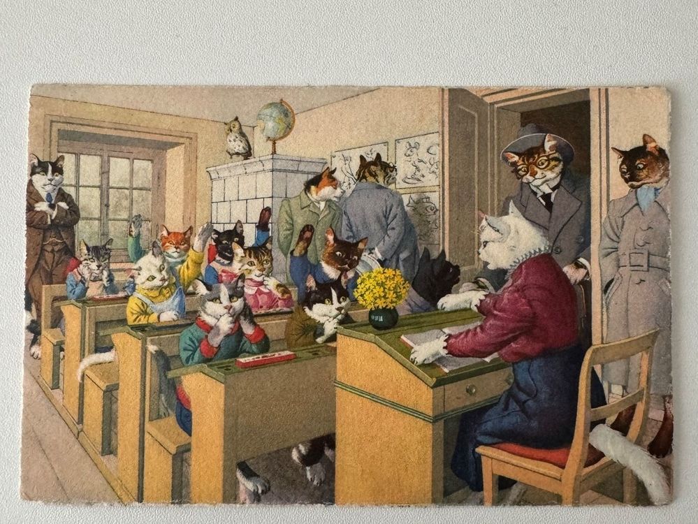 AK "Katzen in der Schule" - No. 4697 Edition Max Künzli (Gebraucht) in ...