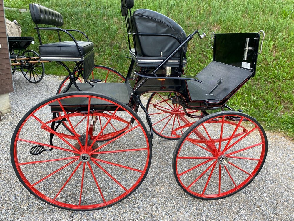 Pferdekutsche Pferde (Gebraucht) in Mogelsberg für CHF 900 – nur ...