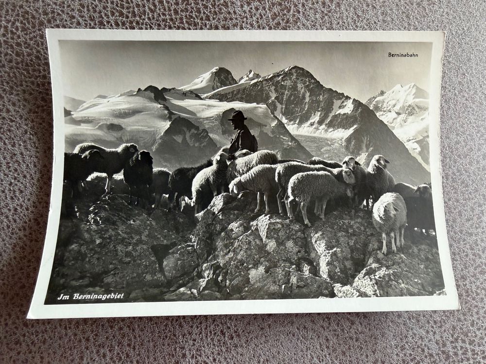 Albert Steiner St. Moritz, Berninagebiet, Bernina Bahn (Gebraucht) in ...