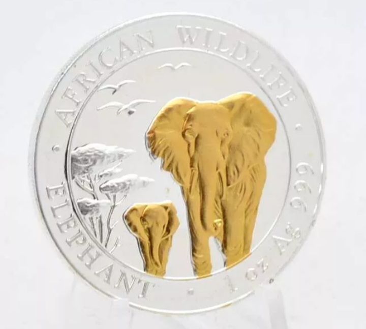 1 OZ Silber African Wildlife Elefant Somalia 2015 gilded (Neu und ...