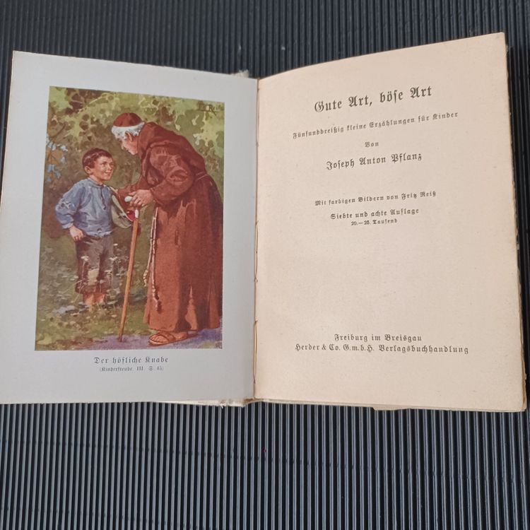 Altes Buch, Anton Pflanz. 1912, Gute Art böse Art (Gebraucht) in Zürich ...