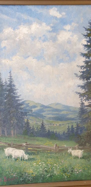 Emil Bauer | Kaufen auf Ricardo